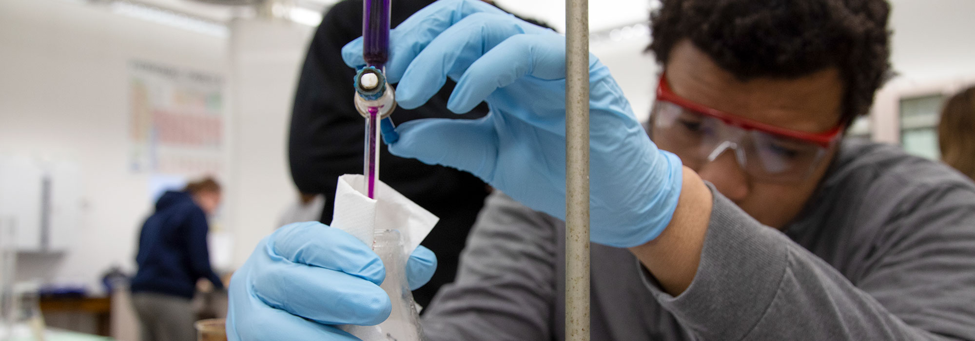 Behavioral Neuroscience Minor | Carlow University