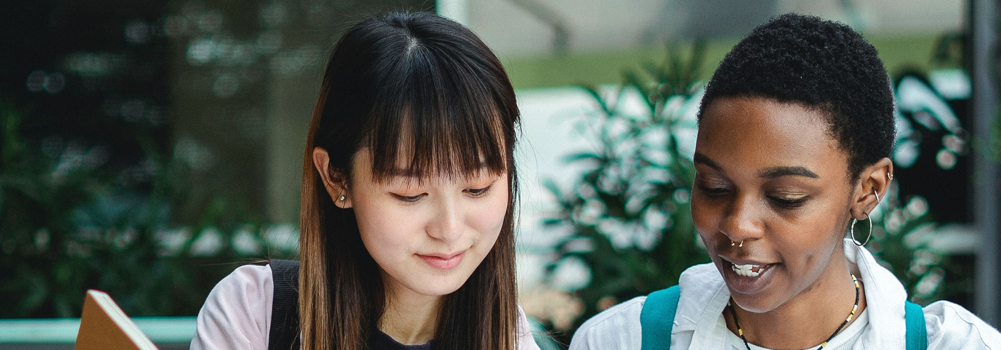 Women's and Gender Studies Minor | Carlow University