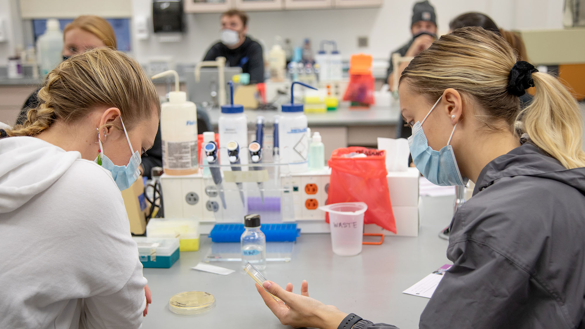 Bachelors Degree in Biology - Carlow University - Pittsburgh, PA